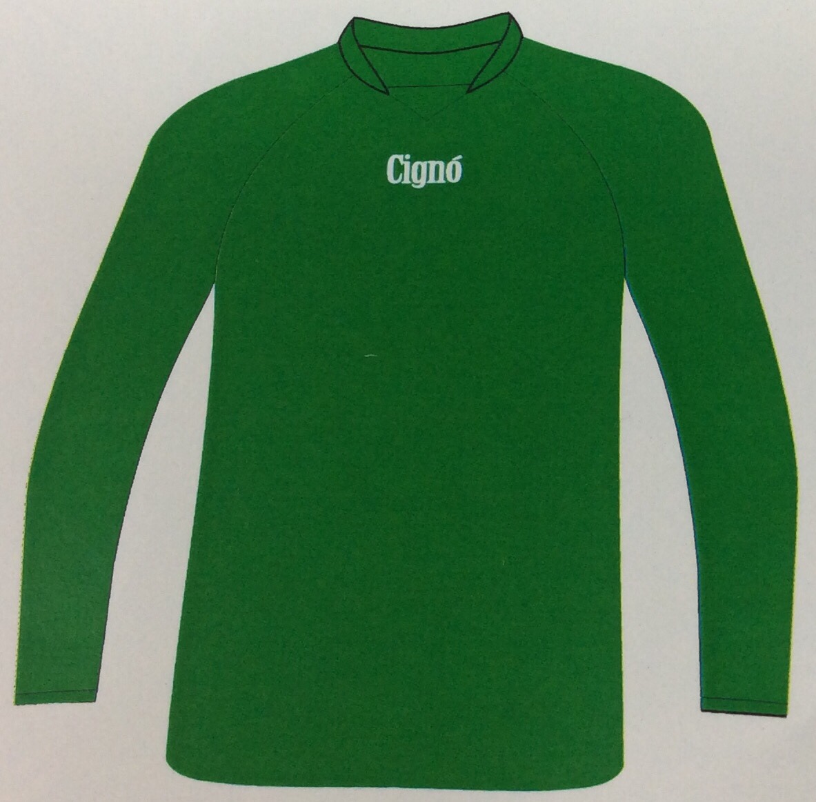 Cigno Alley Goalkeeper Jersey Green - The Football Factory