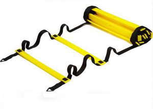 Pro Ladder - The Football Factory